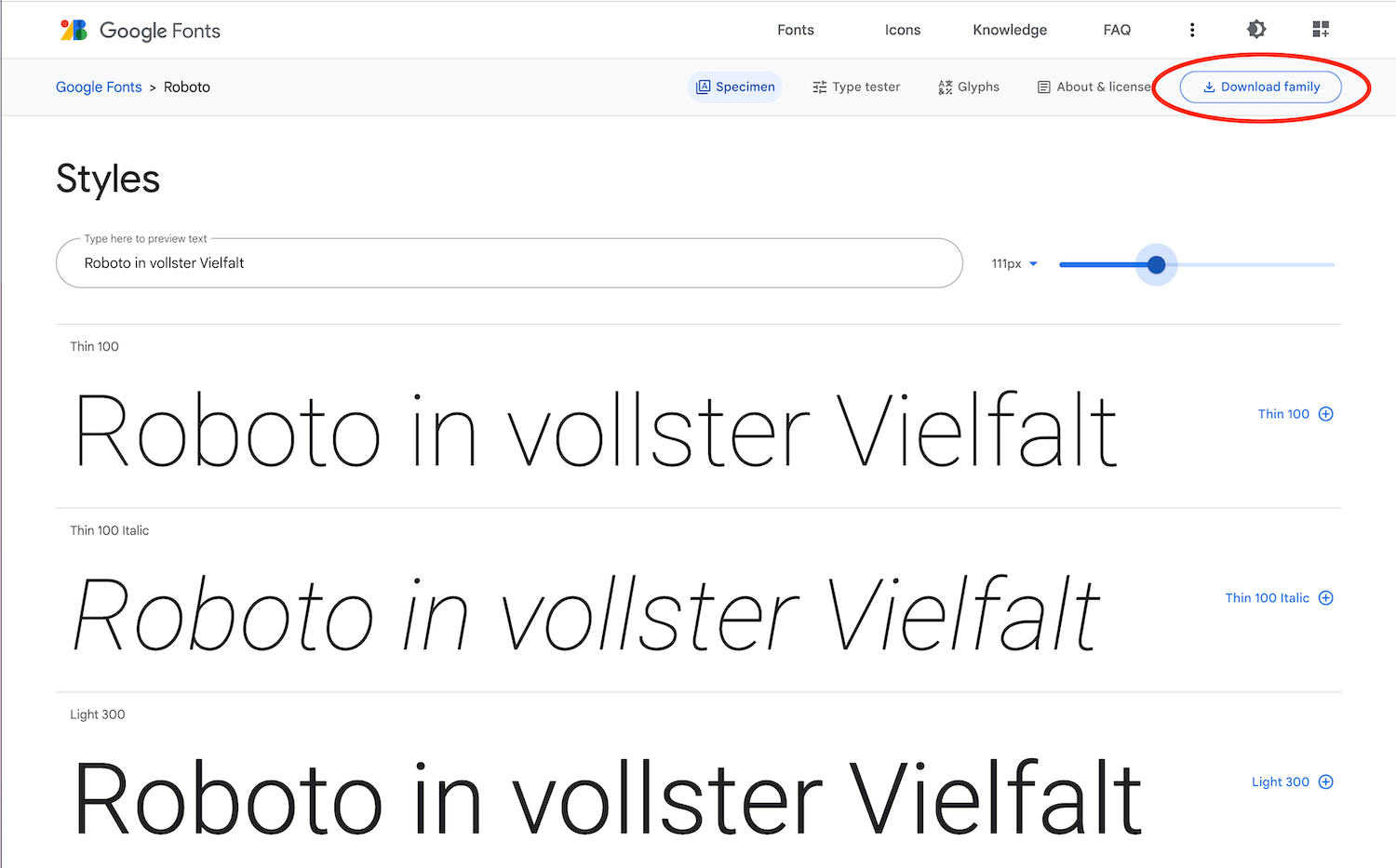 Wie du Google Fonts in deine Website RICHTIG einsetzt (DSGVO konform) - Juliafranke.design